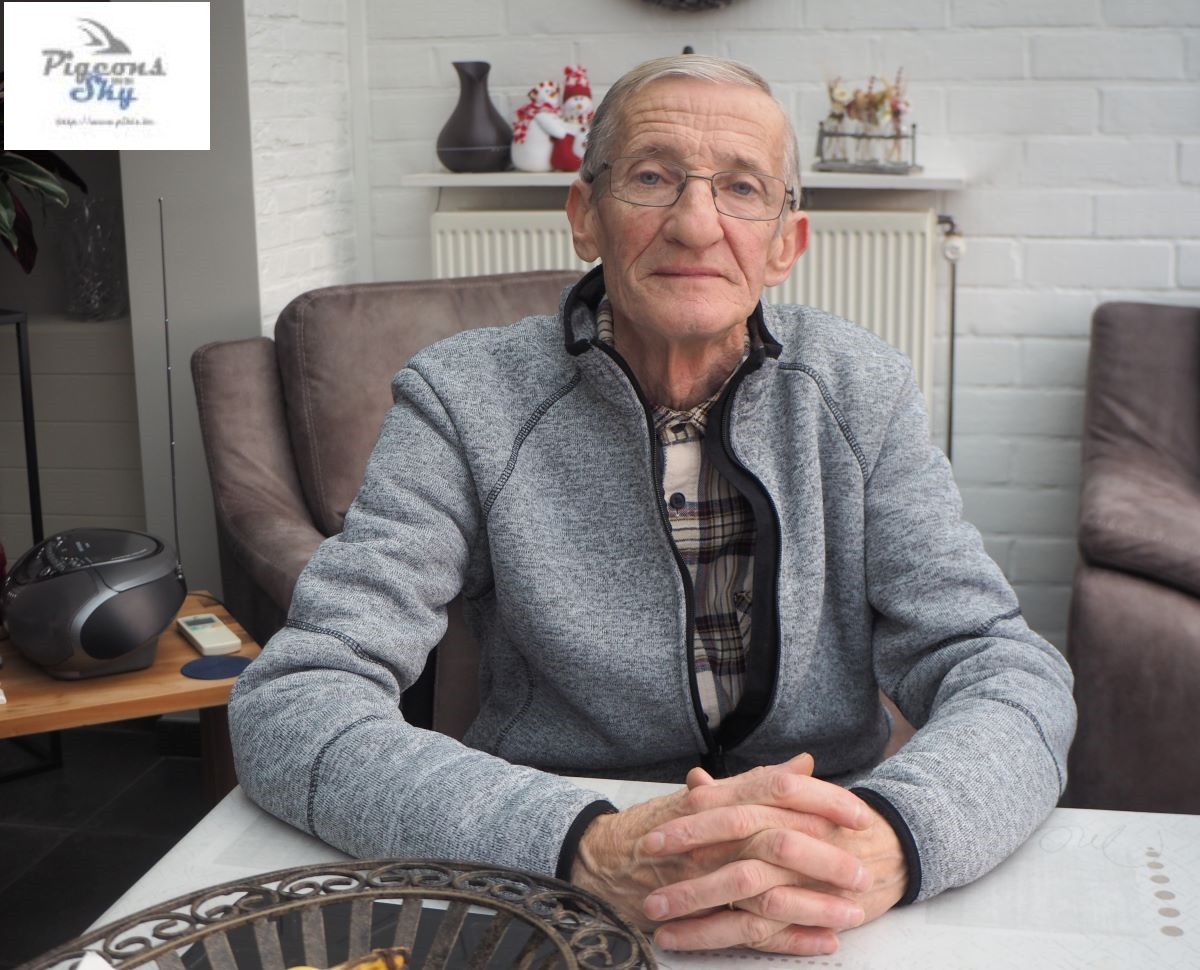 Seizoensoverzicht 2025 Kem... | Pitts - Pigeons Into The Sky