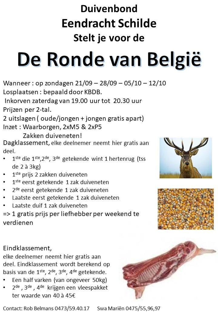 Overzicht/Info/Uitslag RON... | Pitts - Pigeons Into The Sky