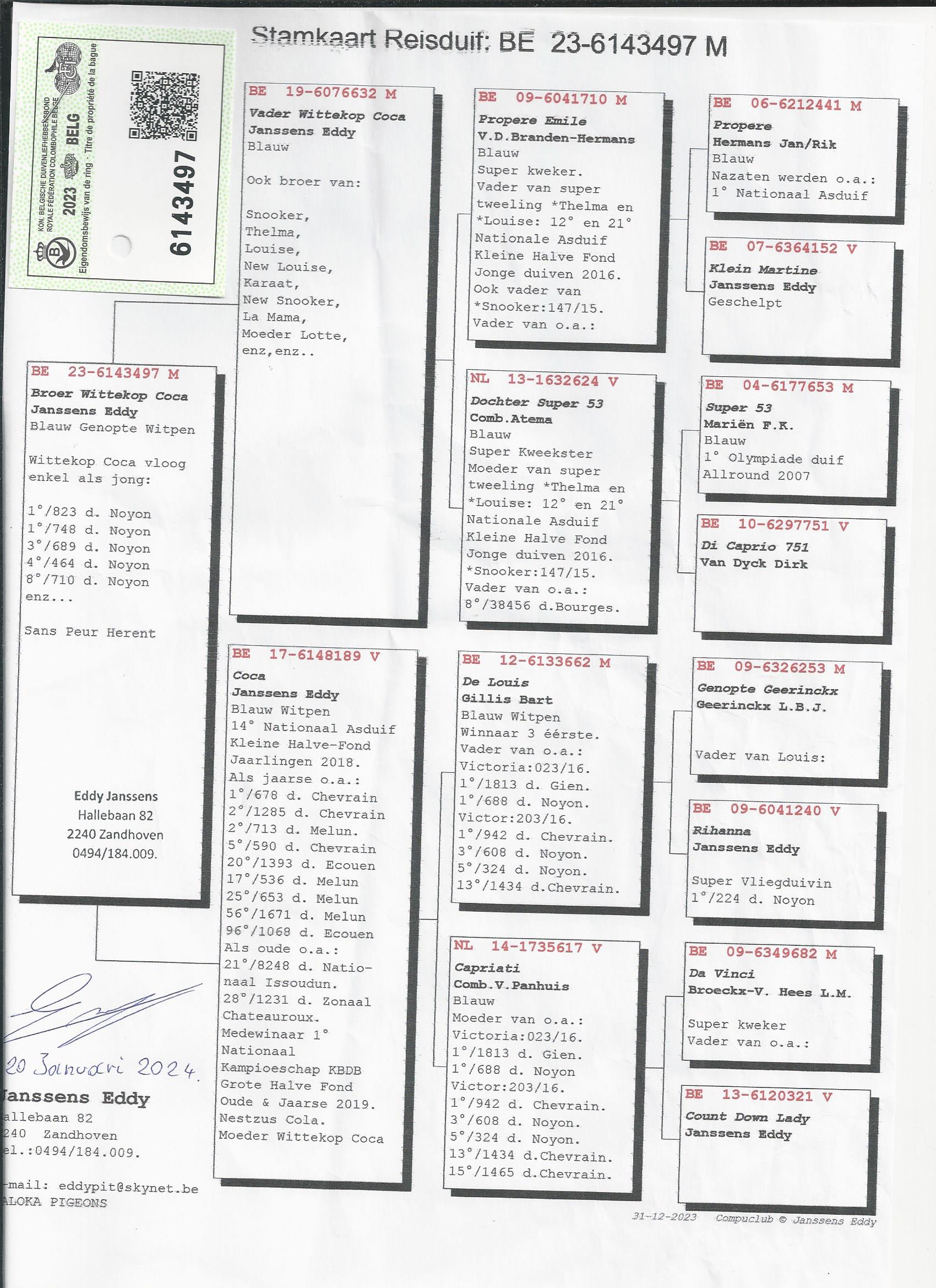 Veiling | Collectie Eddy J... | Pitts - Pigeons Into The Sky