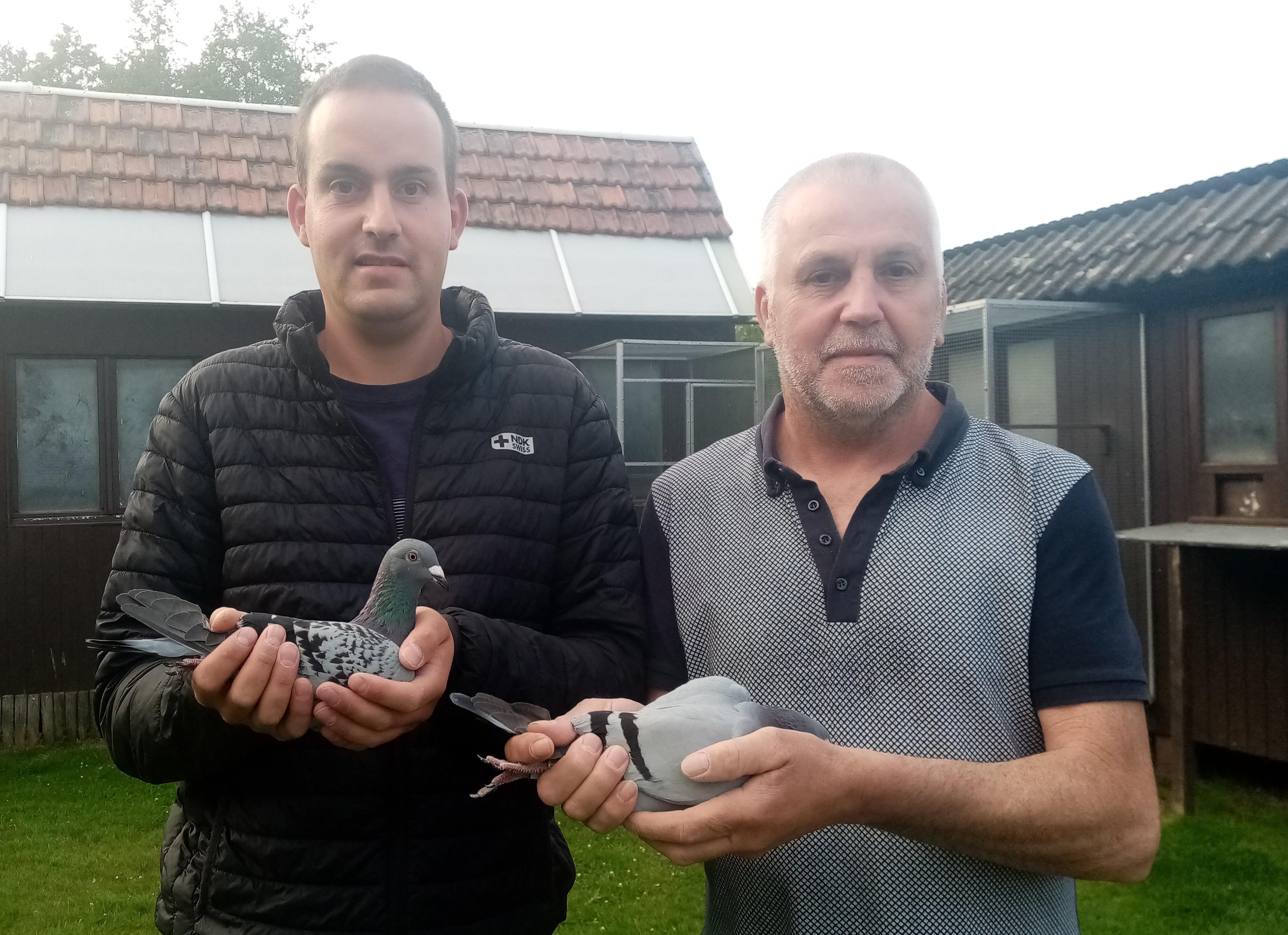 Artikels | Reportages | Pitts - Pigeons Into The Sky