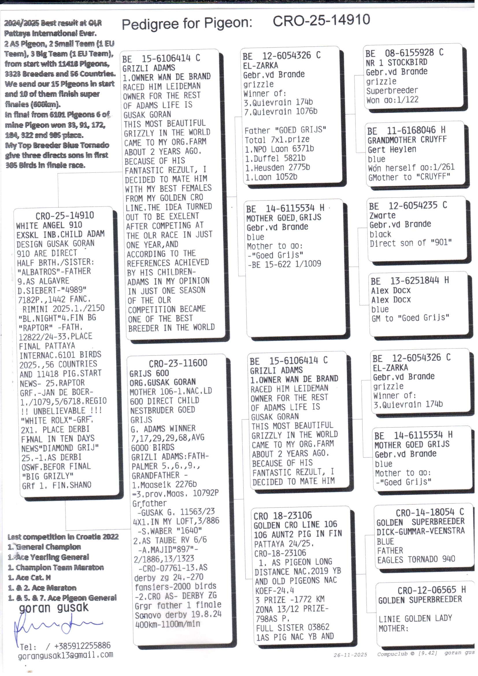 Veiling | Goran Gusak | Pitts - Pigeons Into The Sky