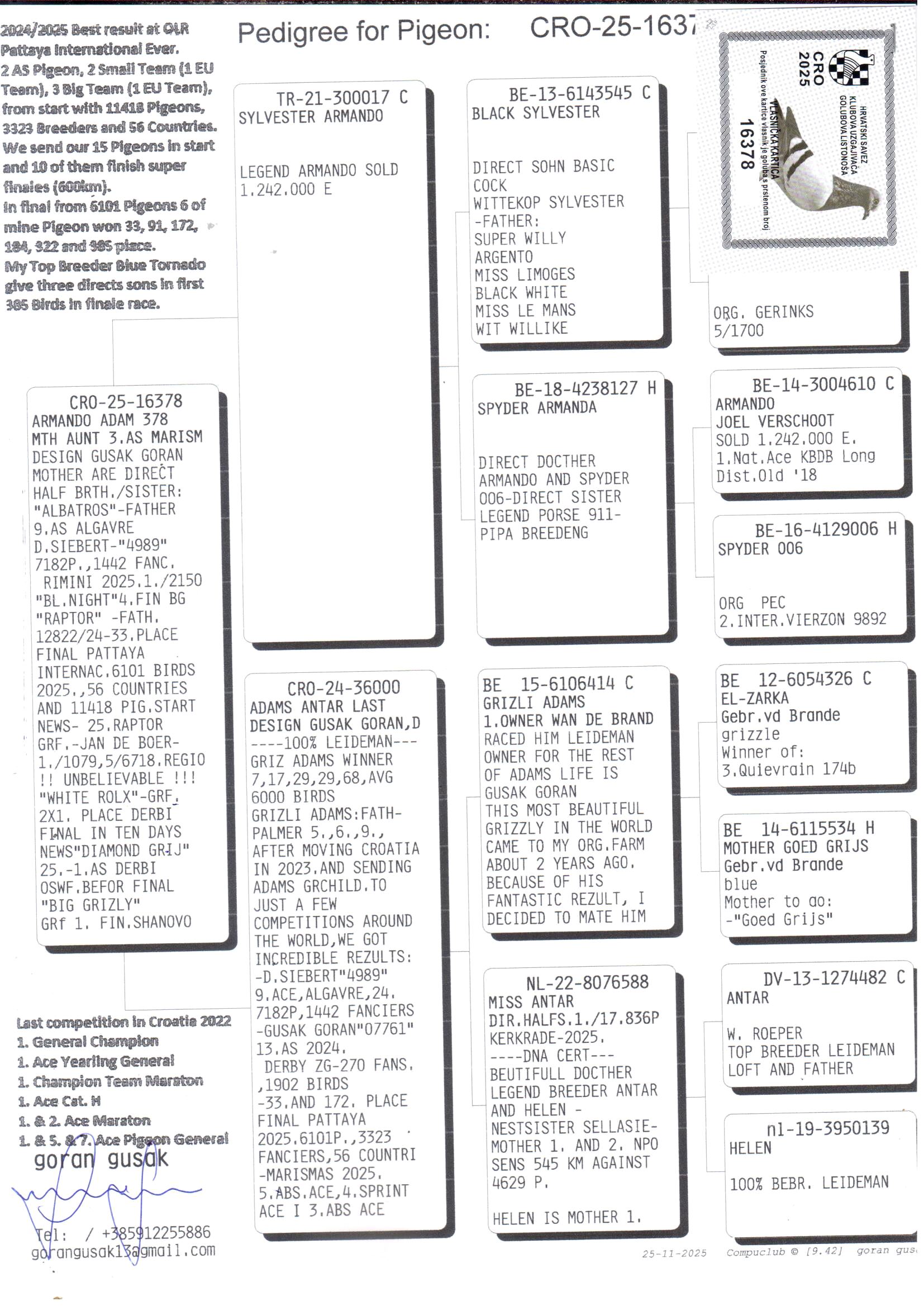 Veiling | Goran Gusak | Pitts - Pigeons Into The Sky